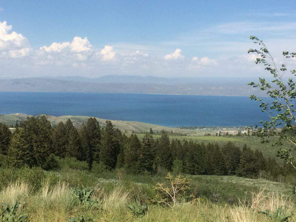 Race recap: Bear Lake Half-marathon | So what? Now what?